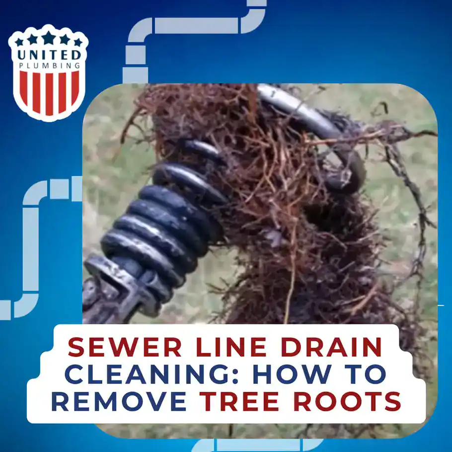 Sewer line drain cleaning: how to remove tree roots | United Plumbing Blog