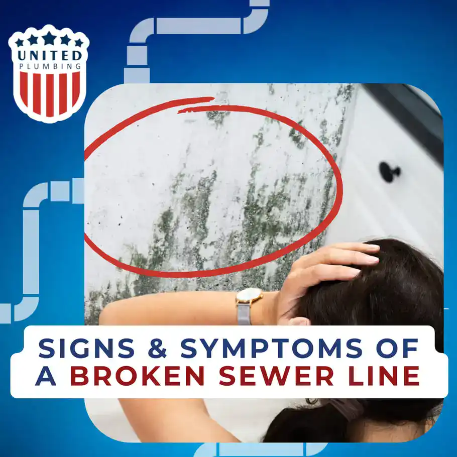 Signs & Symptoms of a Broken Sewer Line | United Plumbing Blog