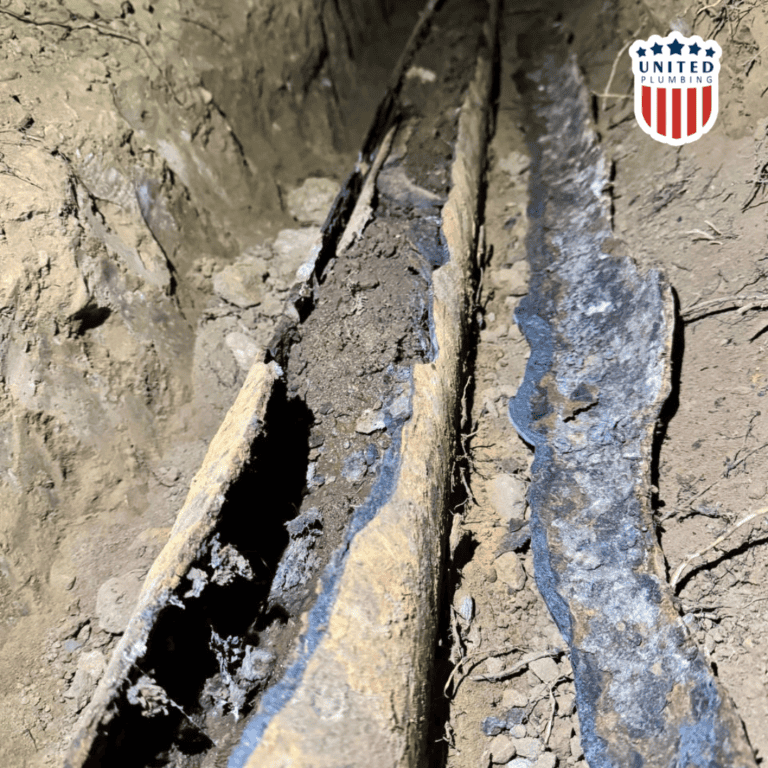 Five Ways To Remove Tree Roots In Sewer Line