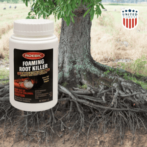 Five Ways To Remove Tree Roots In Sewer Line