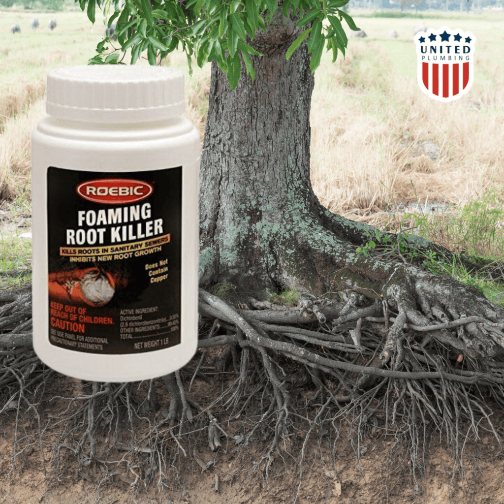 Five Ways To Remove Tree Roots In Sewer Line